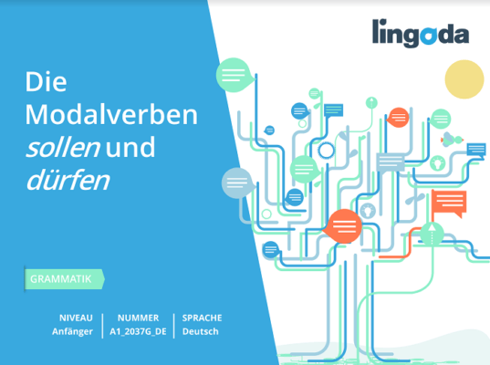 Lingoda German Sprint Review: Is it Worth the Time and Money?