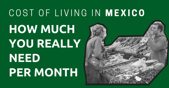 Cost of Living in Mexico: How Much You Need Per Month (2023)