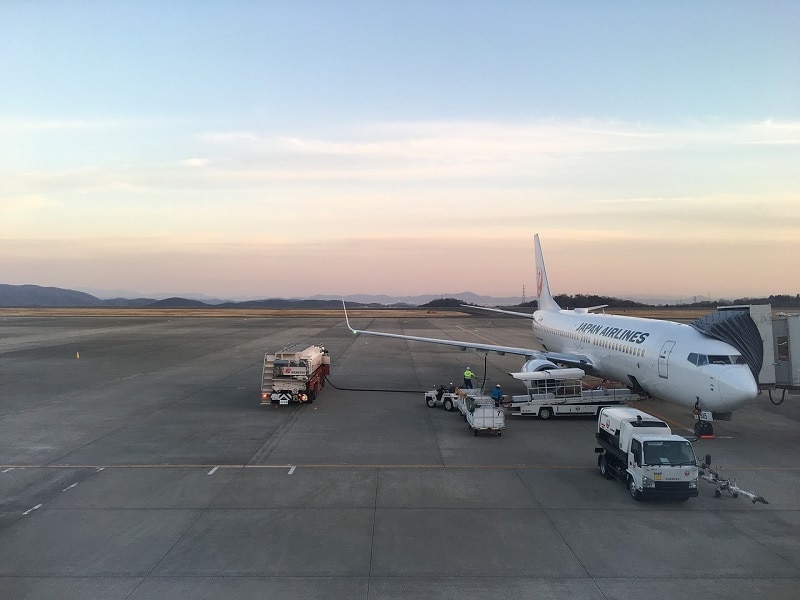 How to Relocate Abroad Safely with Pet