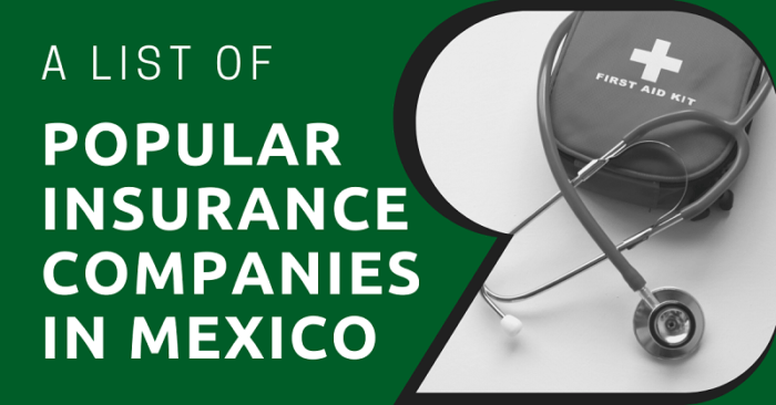 Best Local and International Insurance Companies in Mexico
