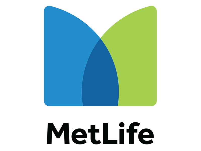 Best Local and International Insurance Companies in Mexico