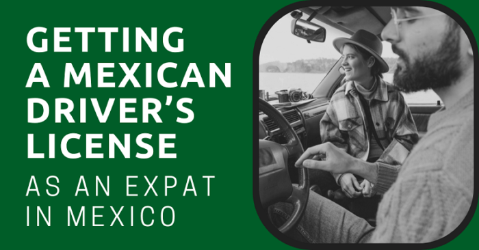 Mexican Driver’s License: Application, Cost, Requirements