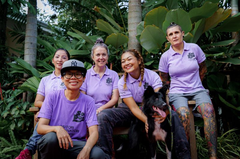 Soi Dog Foundation: Its Heartwarming Story and How You Can Volunteer