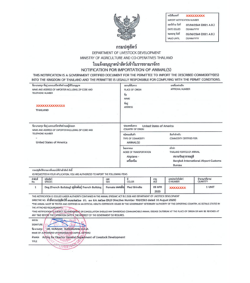 The Complete Guide to Thailand Pet Relocation